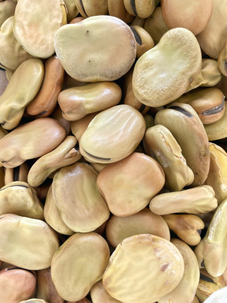 Essen & Trinken in der Basilikata / Italien – Zimt & Chili | Zimt & Chili